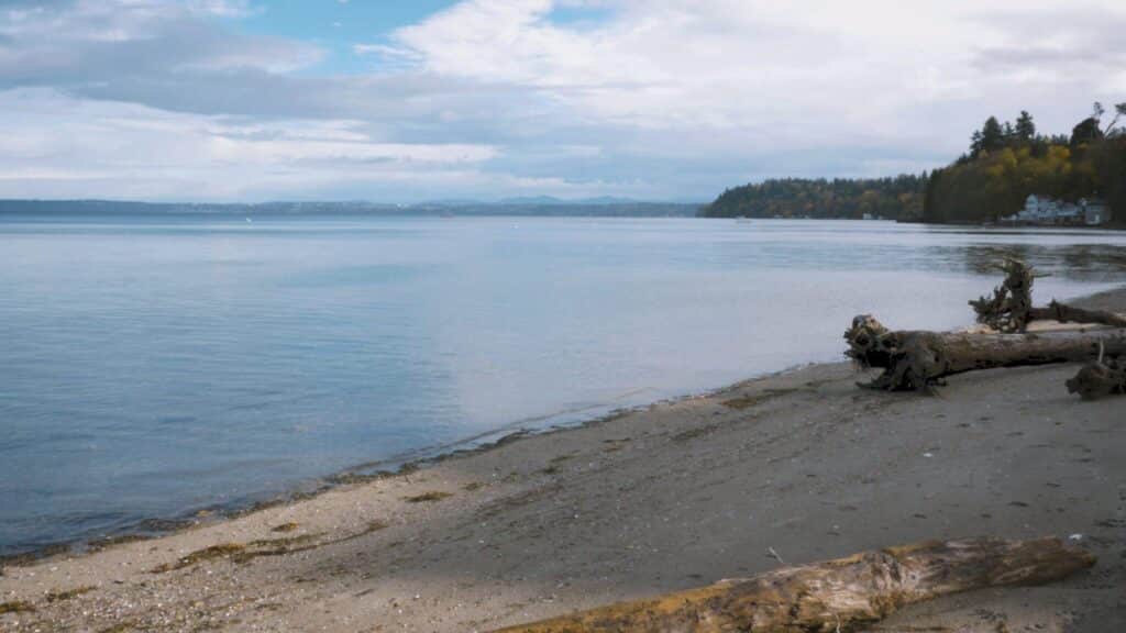 Discover Washington Cryptids: Legends & Locations