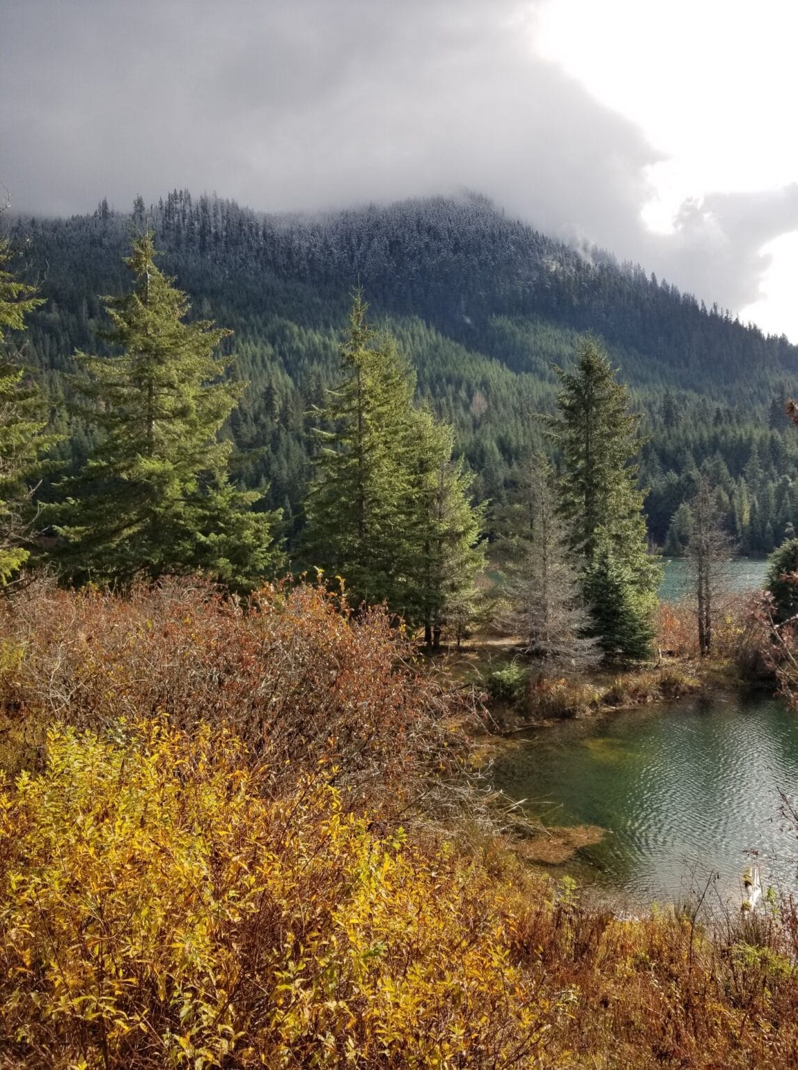 Gold Creek Park: Visiting The Pond - Explore Washington State