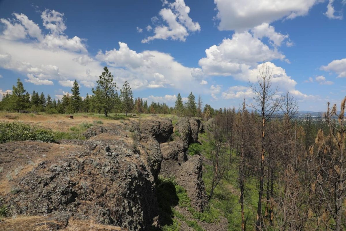 5 Easy Day Hikes Near Spokane For Outdoor Adventure