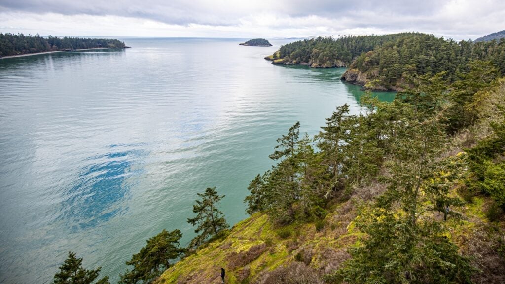 Scuba Diving In Washington State: A Complete Guide