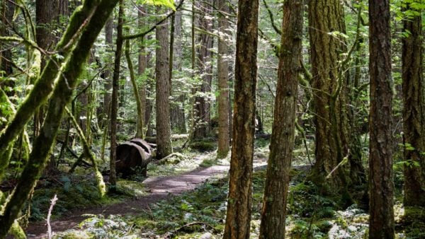 Visiting Tacoma’s Proctor District - Explore Washington State