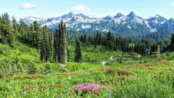 Discover Washington Cryptids: Legends & Locations