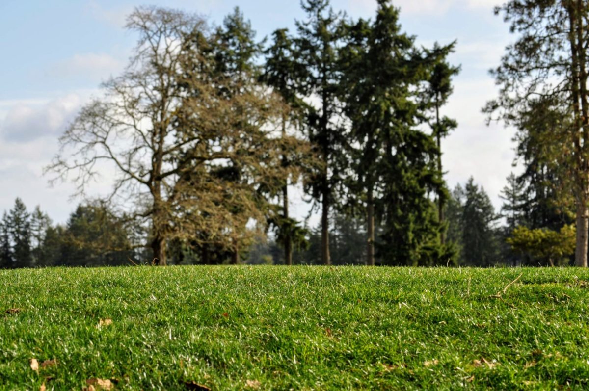 Spending a Day in Steilacoom - Explore Washington State
