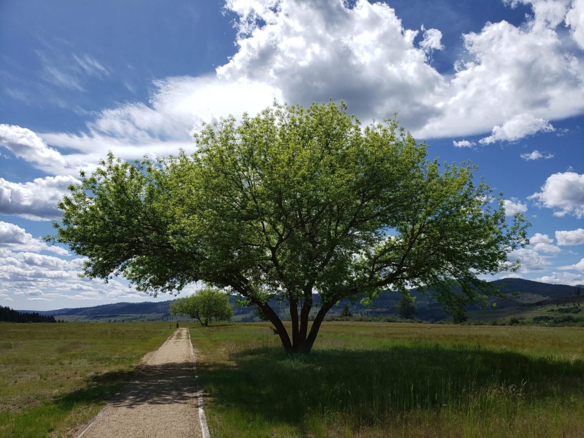 Spending A Day At Fort Spokane - Explore Washington State