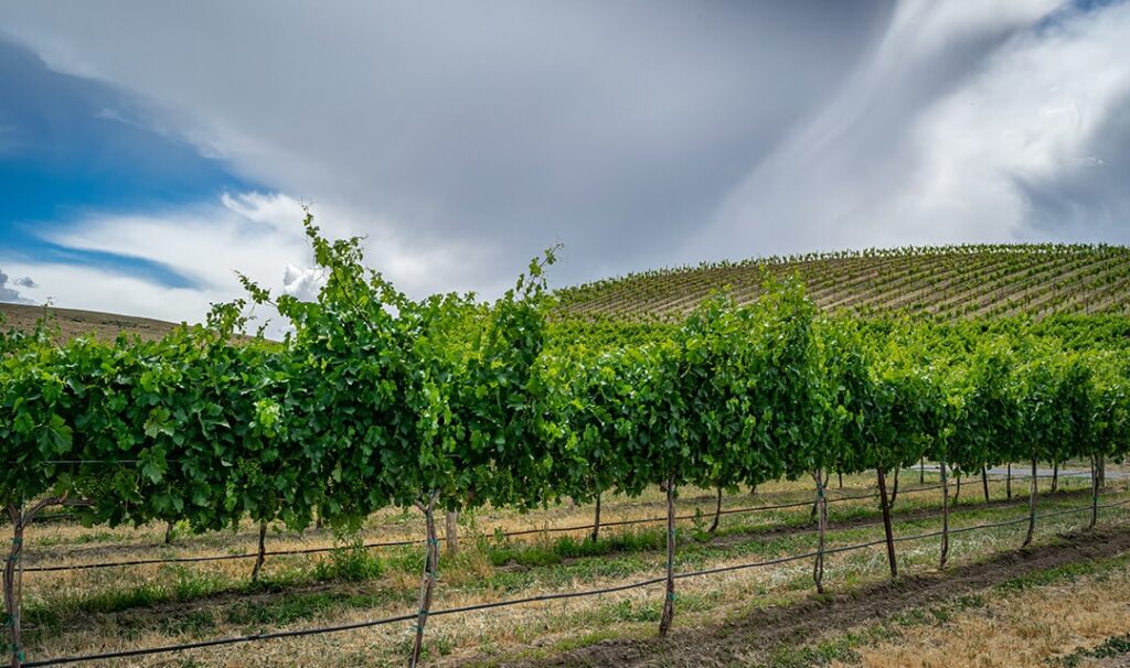 Visiting Spokane's South Perry Neighborhood - Explore Washington State