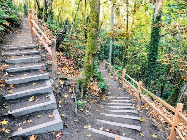 Visiting Tacoma’s Proctor District - Explore Washington State