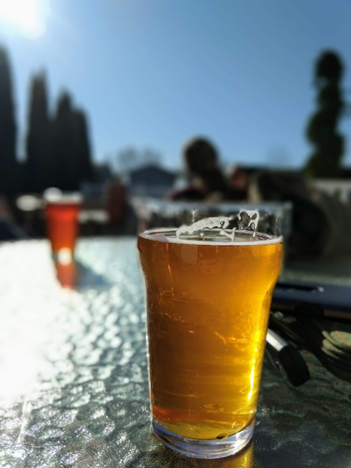 Spending A Day In Mount Vernon, Washington - Explore Washington State