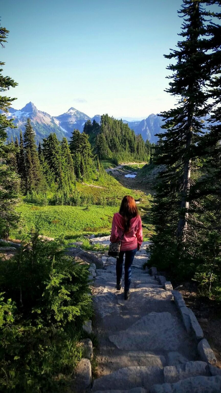 Discover Wildflowers On Mount Rainier's Paradise Trails