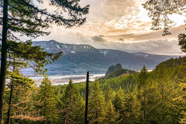 Scuba Diving In Washington State: A Complete Guide