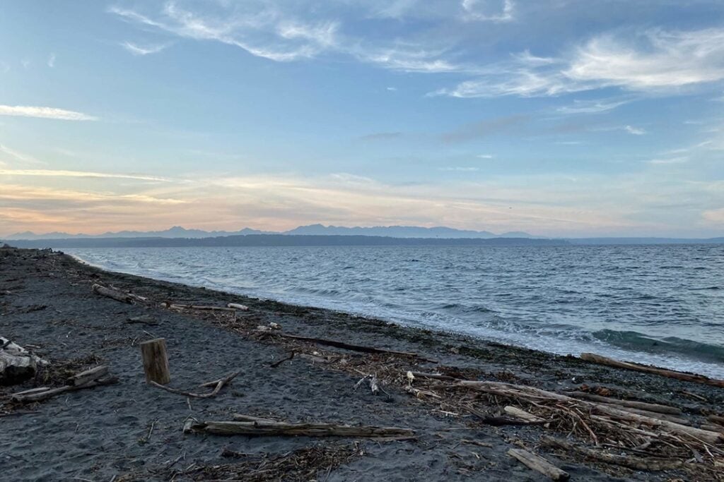 Discover Washington Cryptids: Legends & Locations