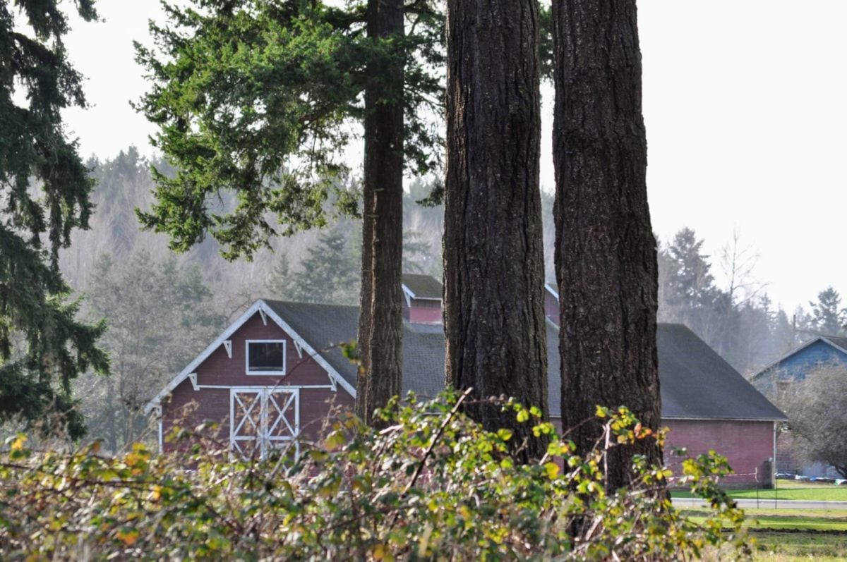 Spending A Day In Steilacoom Washington - Explore Washington State