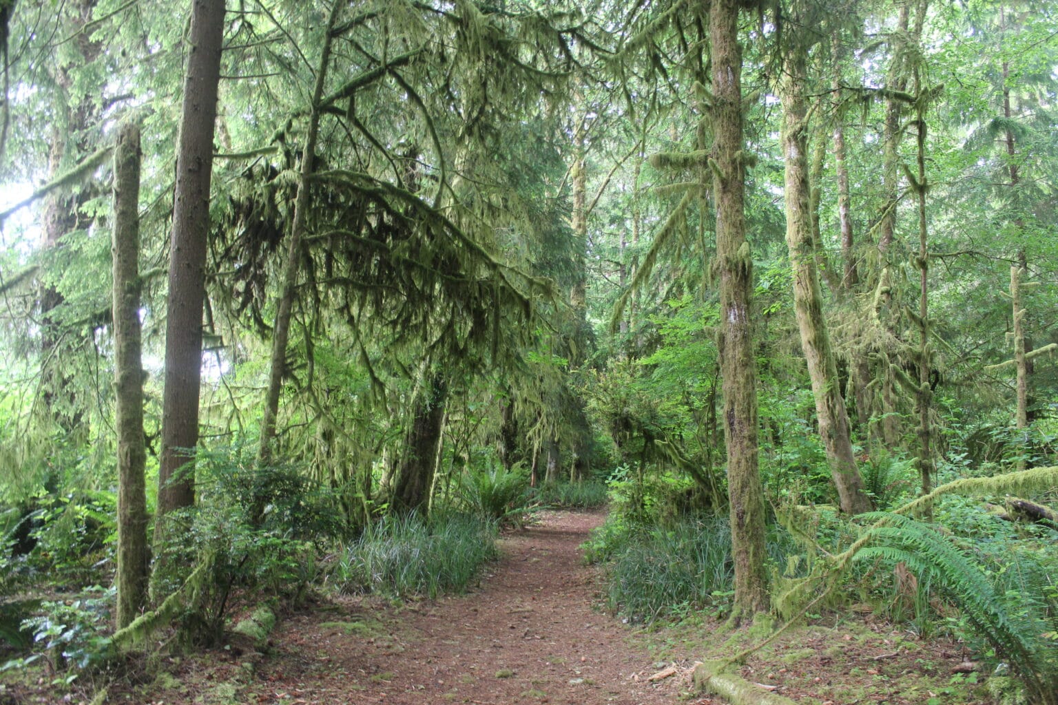 A Guide To Floating The Yakima River - Explore Washington State