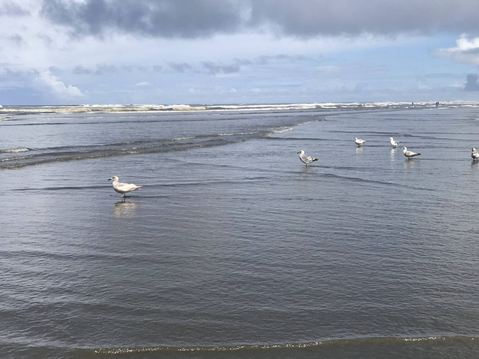 A Weekend in Ocean Shores - Explore Washington State