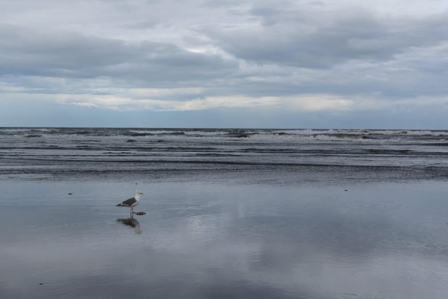 A Weekend In Ocean Shores, Washington - Explore Washington State