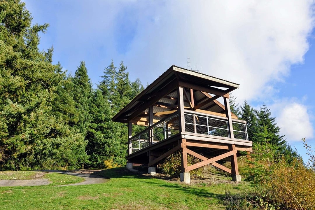 Scuba Diving In Washington State: A Complete Guide