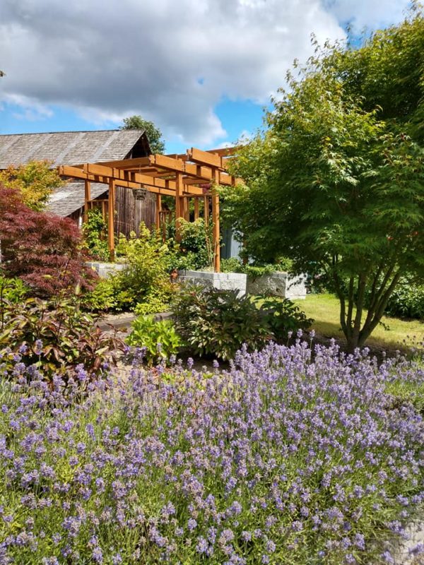 Visiting Canter-Berry Farms: More Than Just A U-Pick Blueberry Farm ...