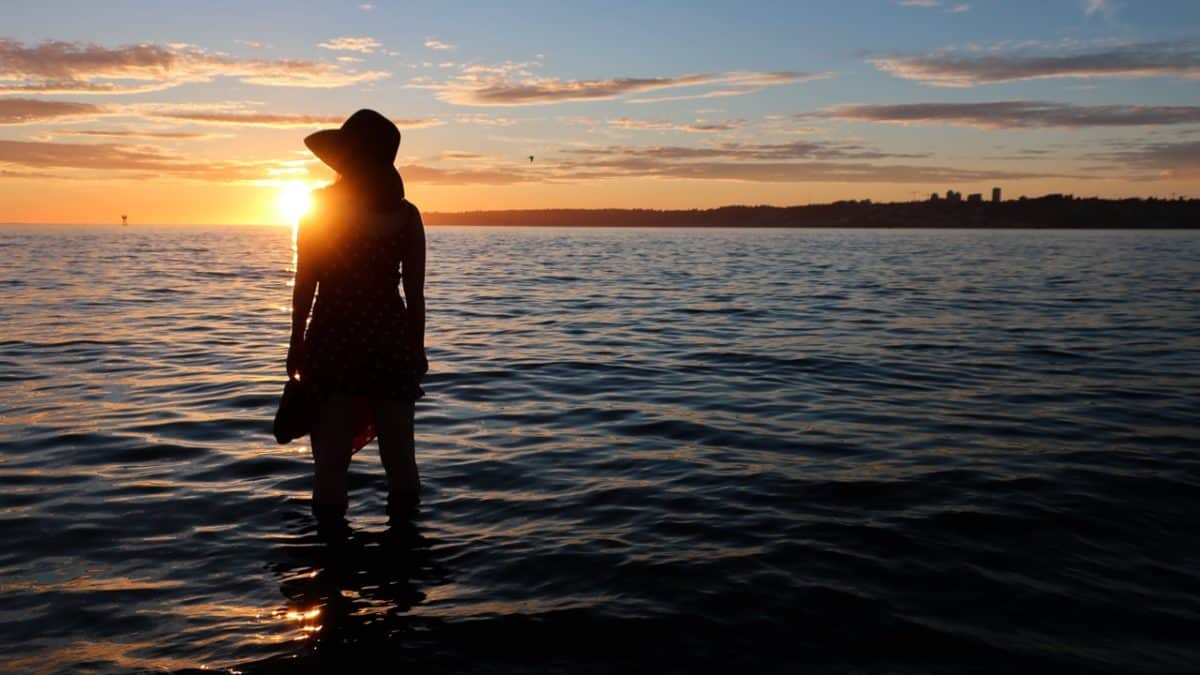 Discover Geoducks: Washington State's Quirky Clam Delicacy