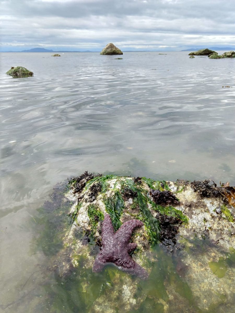 Spending A Weekend In Northwest Whatcom County - Explore Washington State