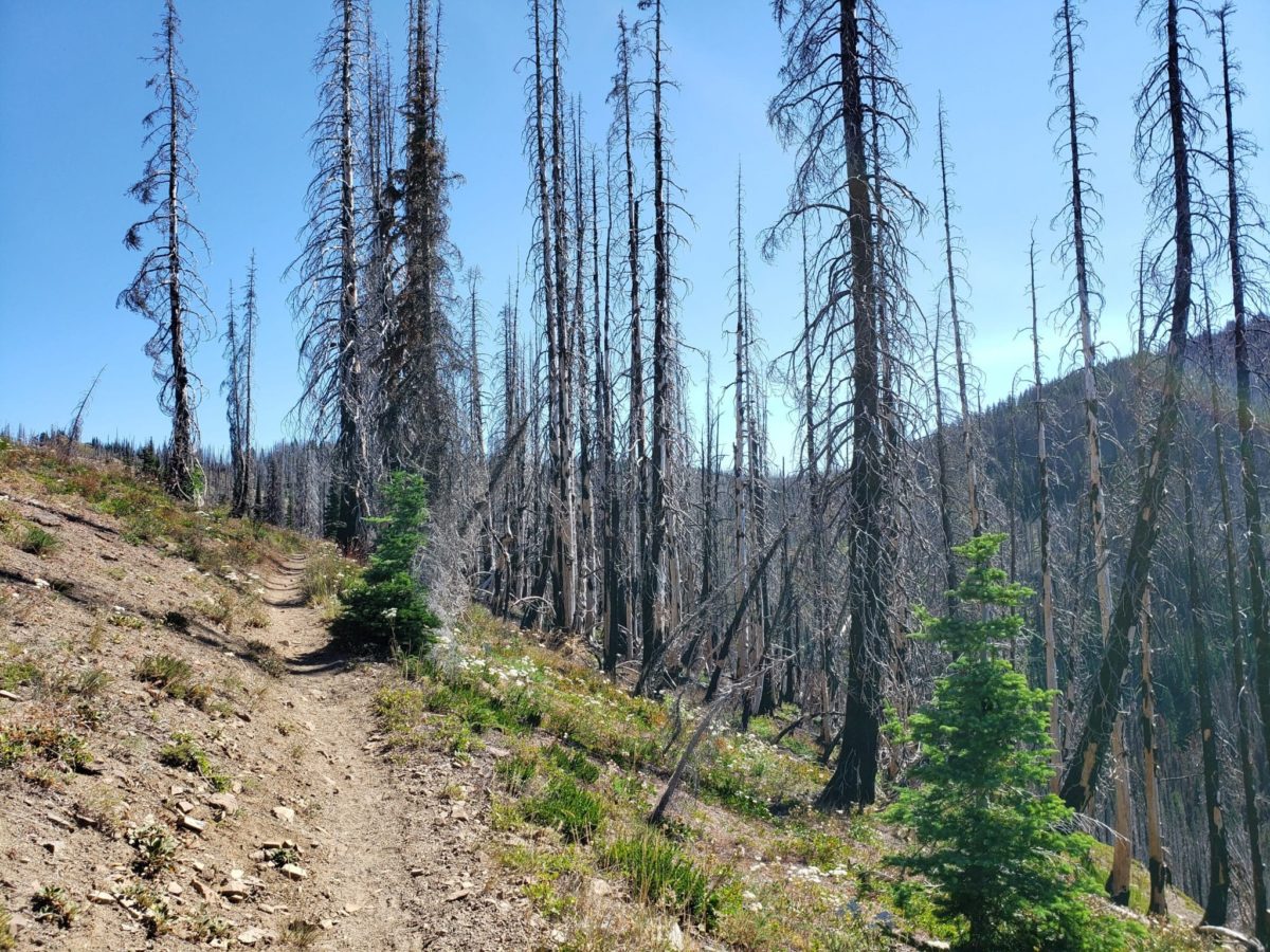 Hiking And Exploring Jolly Mountain - Explore Washington State