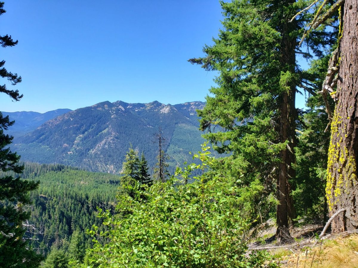 Hiking And Exploring Jolly Mountain - Explore Washington State