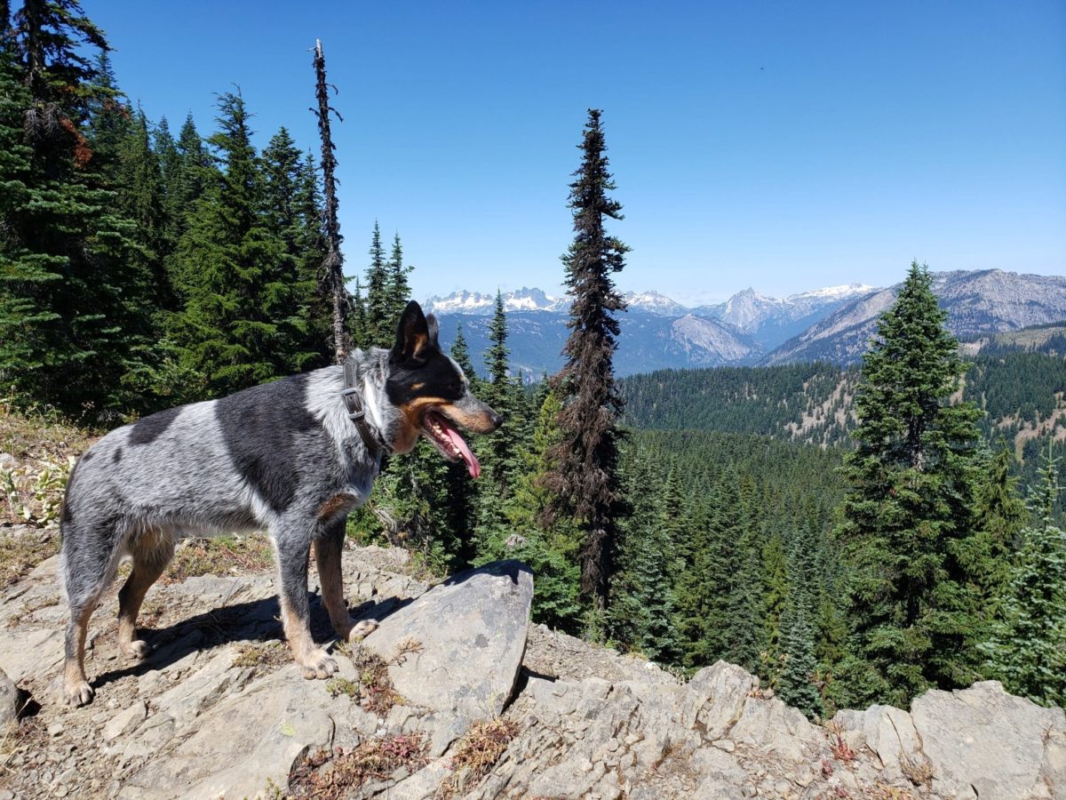 Hiking And Exploring Jolly Mountain - Explore Washington State