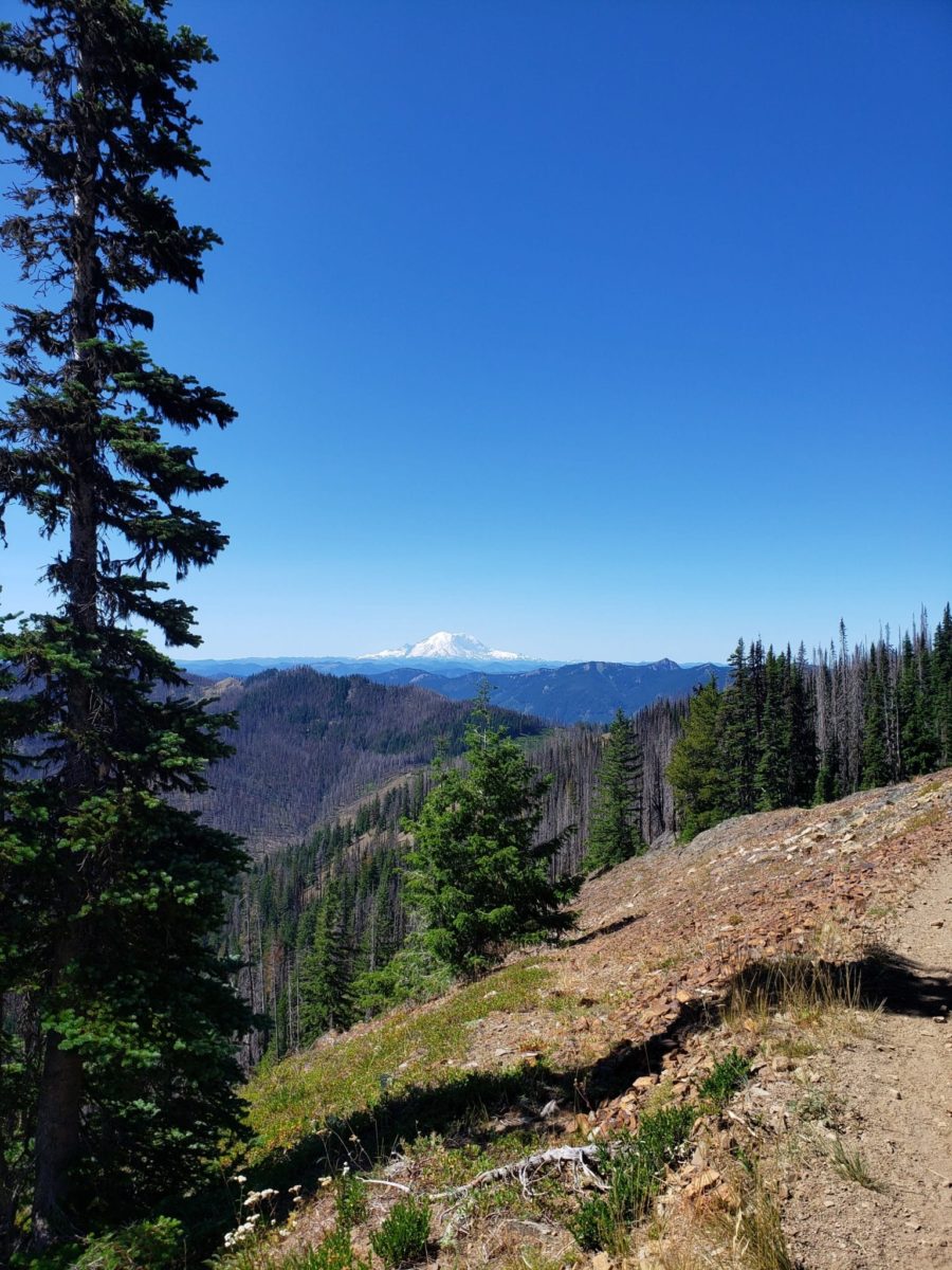 Hiking And Exploring Jolly Mountain - Explore Washington State