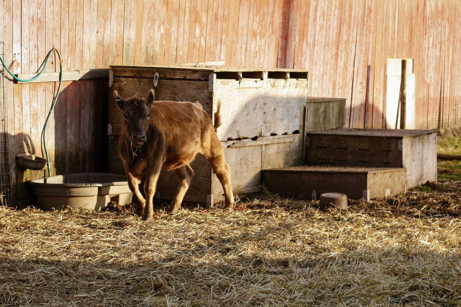 Celebrate Fall At Bi-Zi Farms Pumpkin Patch - Explore Washington State