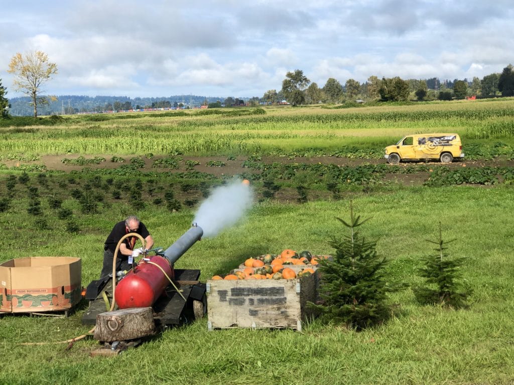 Visiting Stocker Farms For Fall Days - Explore Washington State