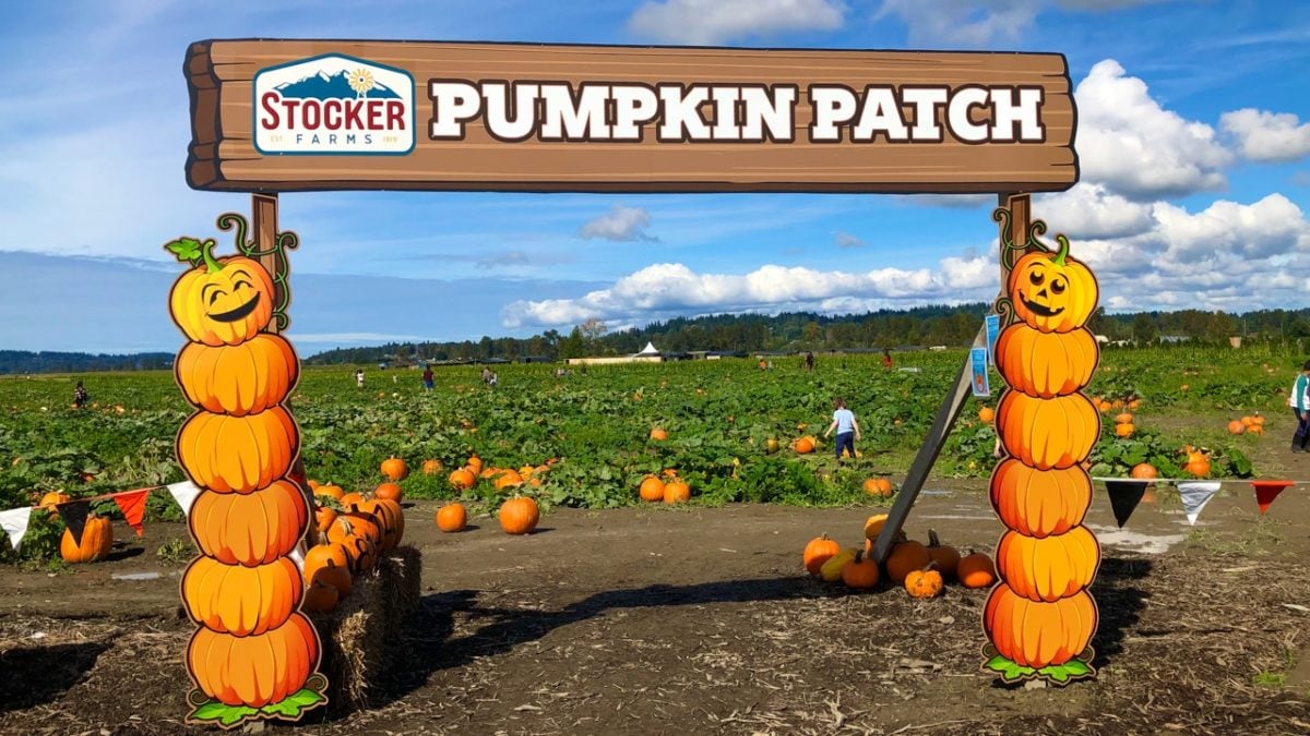 Visiting Stocker Farms For Fall Days - Explore Washington State