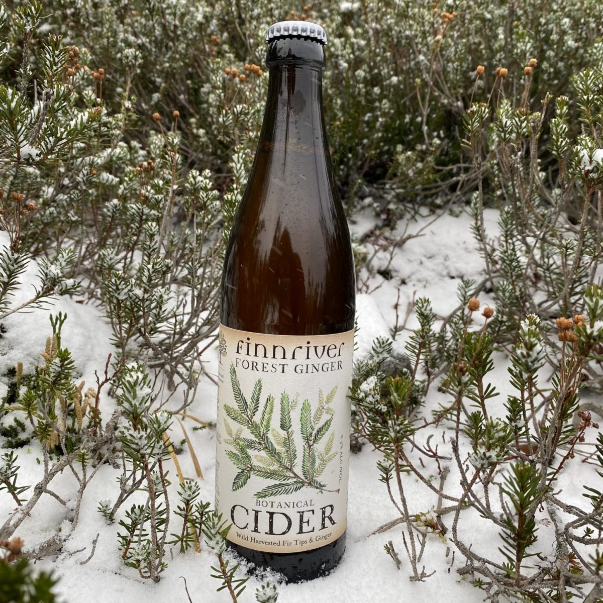 8 Sensational Ciders To Warm Up Your Washington Winter - Explore ...