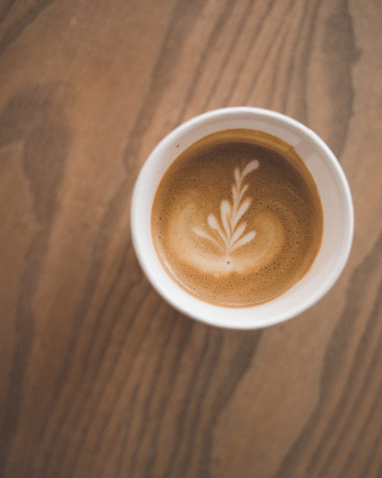 5 Unique Cafés In Seattle That Aren't Arbucks
