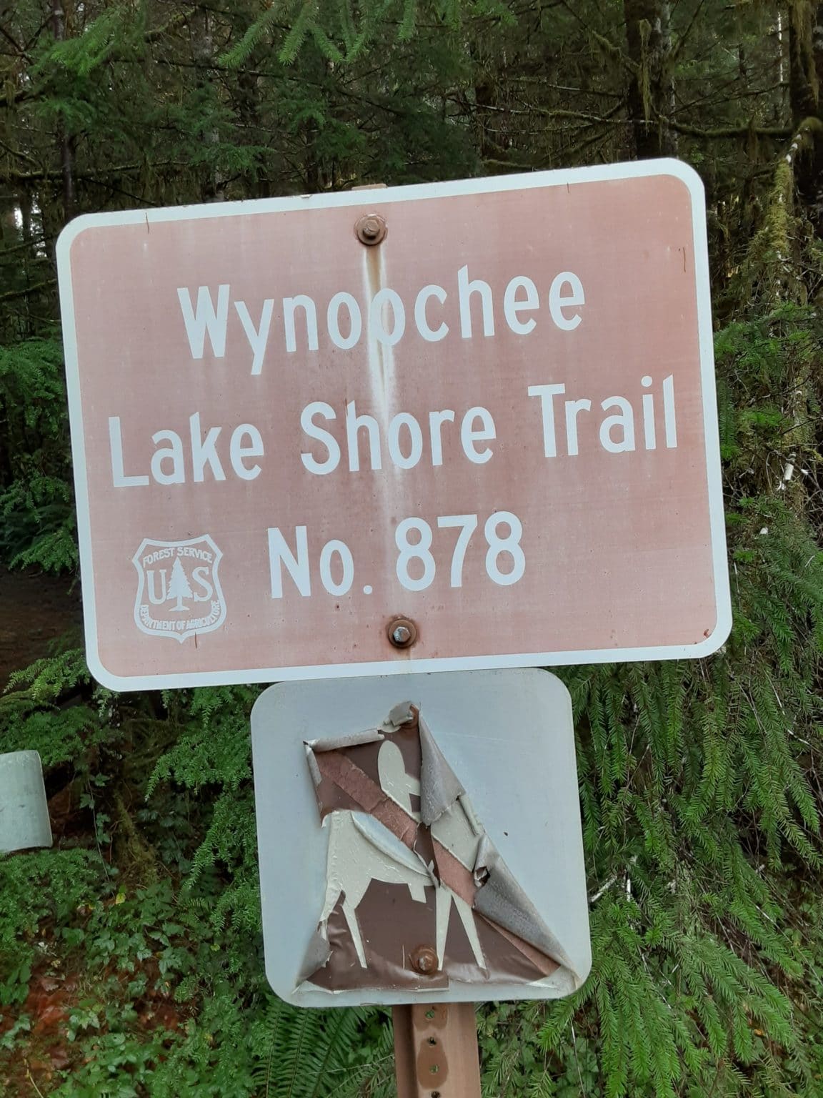 Spending A Day In The Beauty Of Wynoochee Lake - Explore Washington State