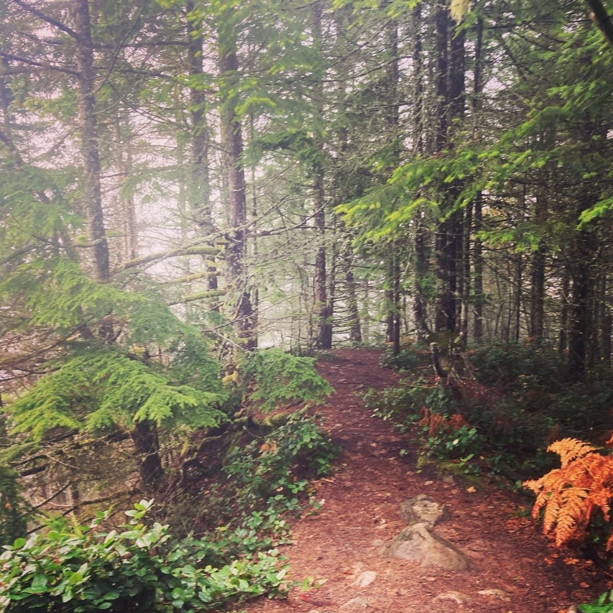 5 Essential Hiking Tips For A Memorable Summer In WA