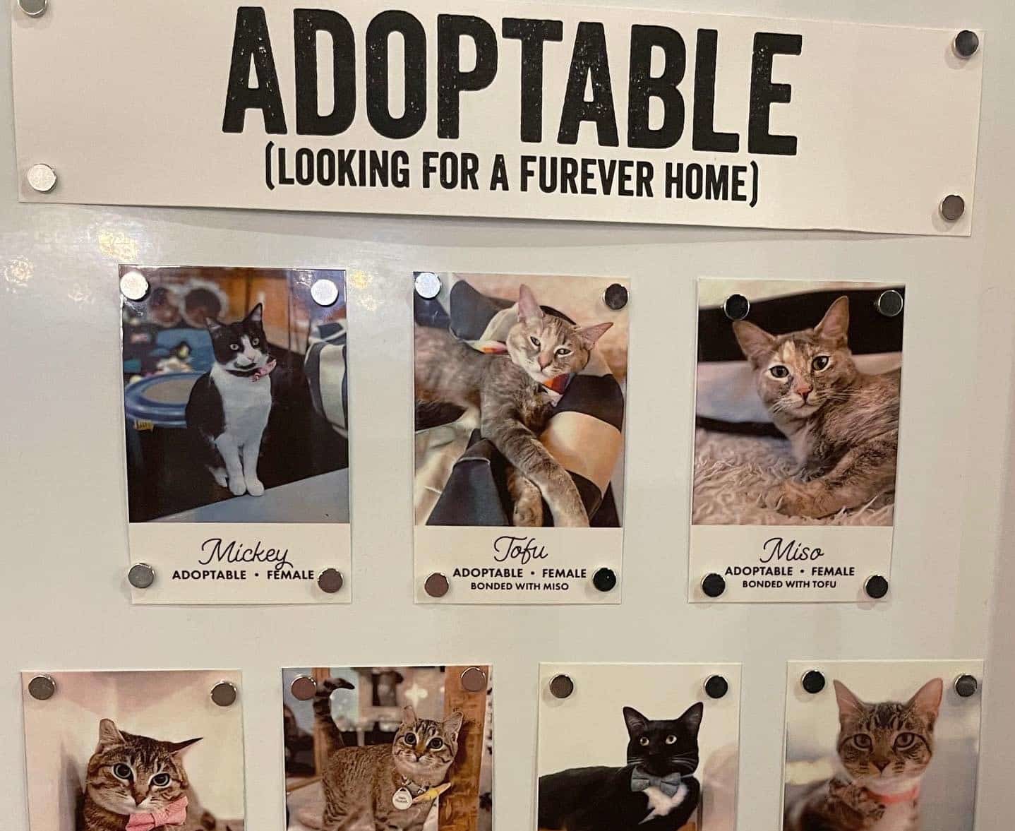 Visiting Lake Wilderness Park - Explore Washington State