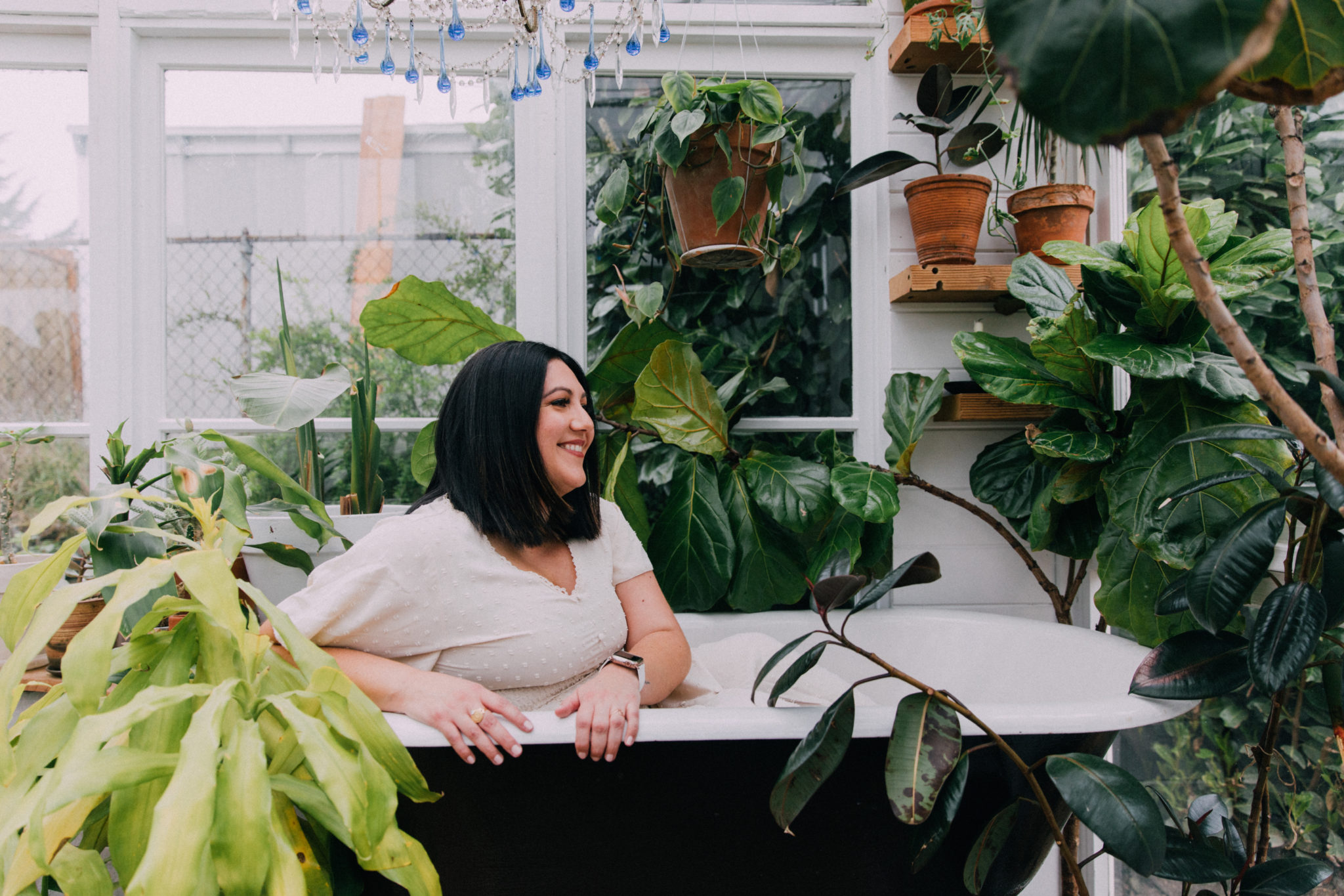 The Seattle Greenhouse: An Intimate And Unique Venue - Explore ...