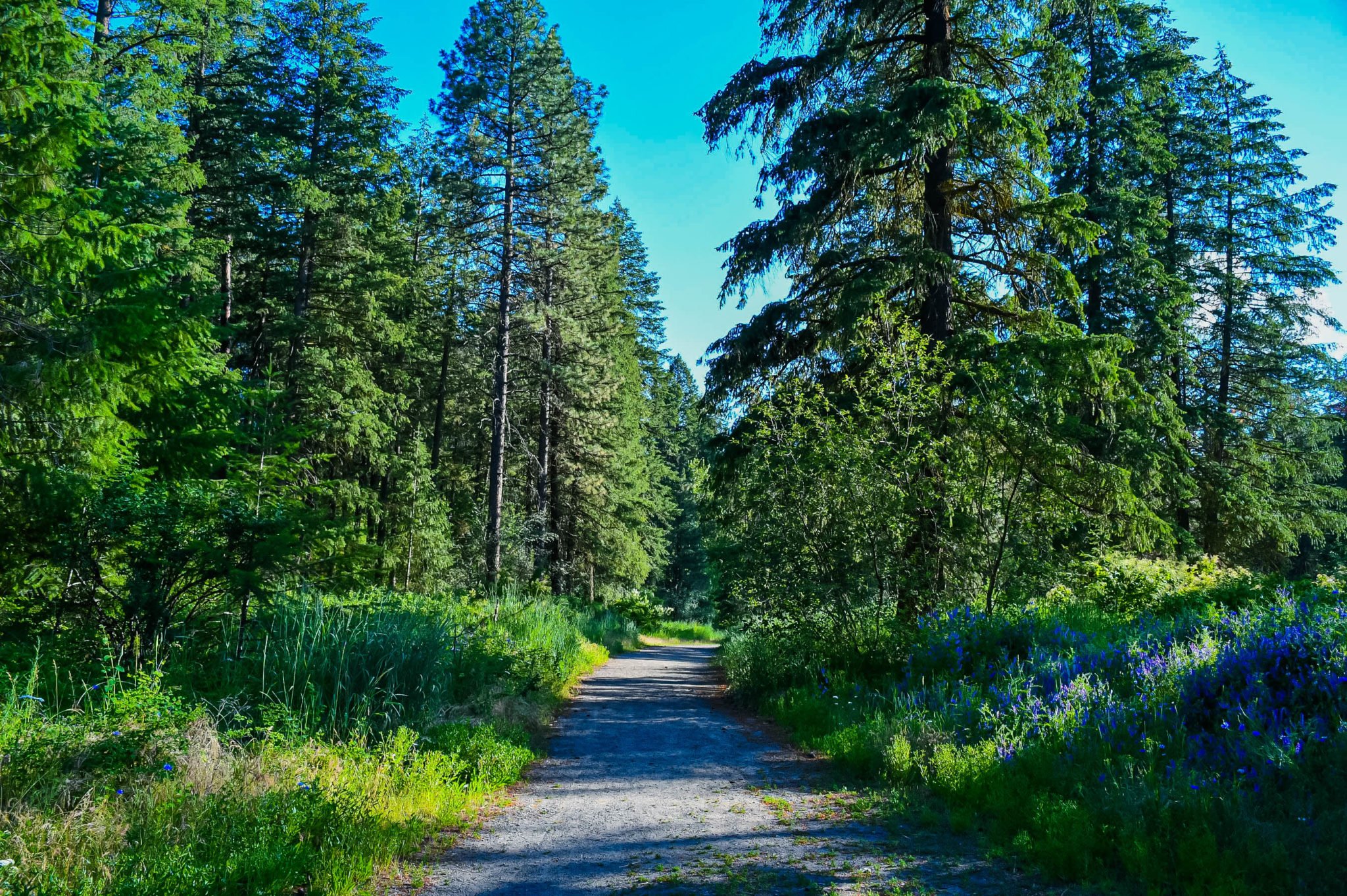 Discover Five Stunning Parks And Hikes Near Spokane
