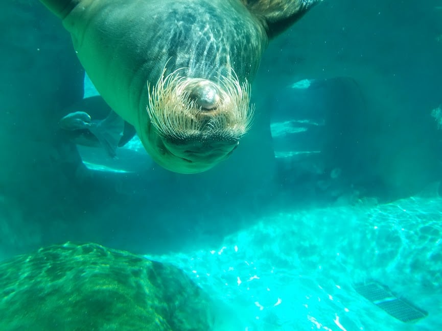 Discover Tacoma In 2 Days: An Exciting Itinerary