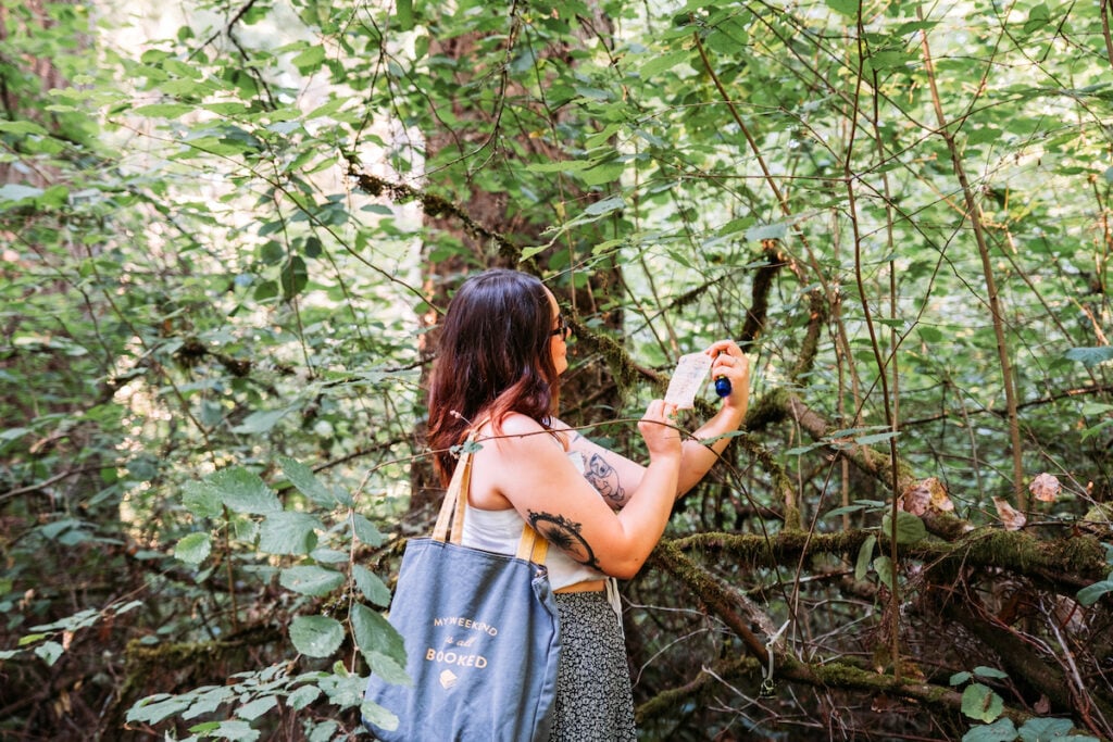 Geocaching In Washington State - Explore Washington State