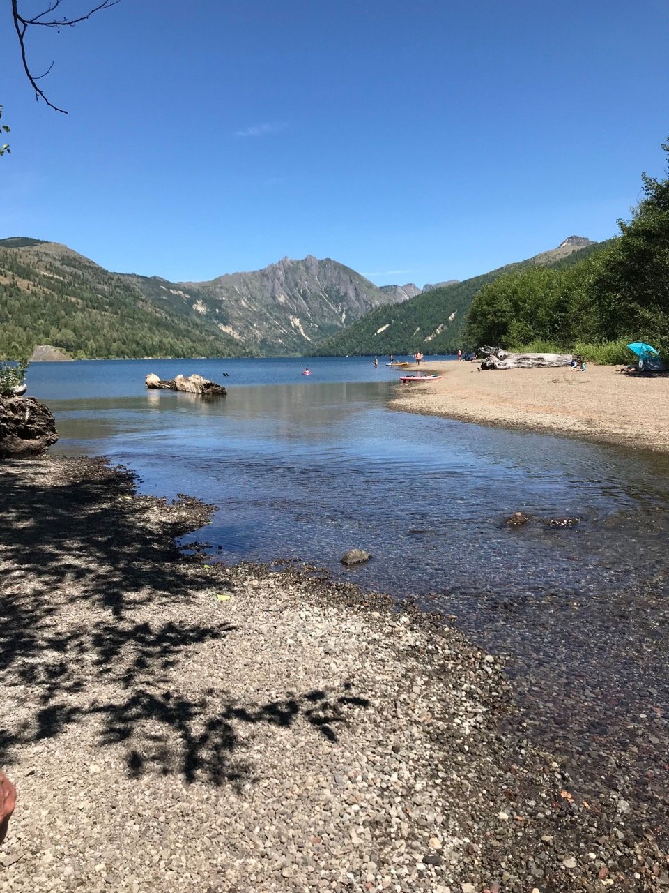 Scuba Diving In Washington State: A Complete Guide