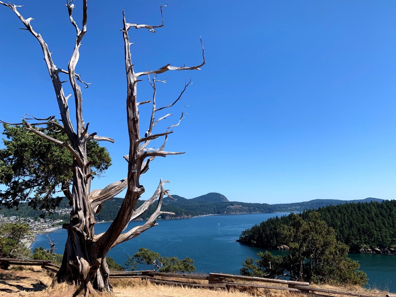 A Visit To Washington Park - Explore Washington State