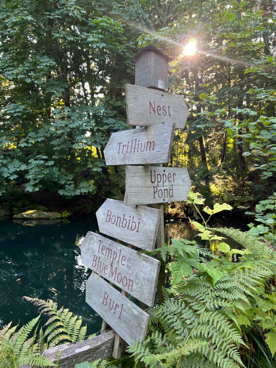 Discover Treehouse Point: A Must-Visit In Washington