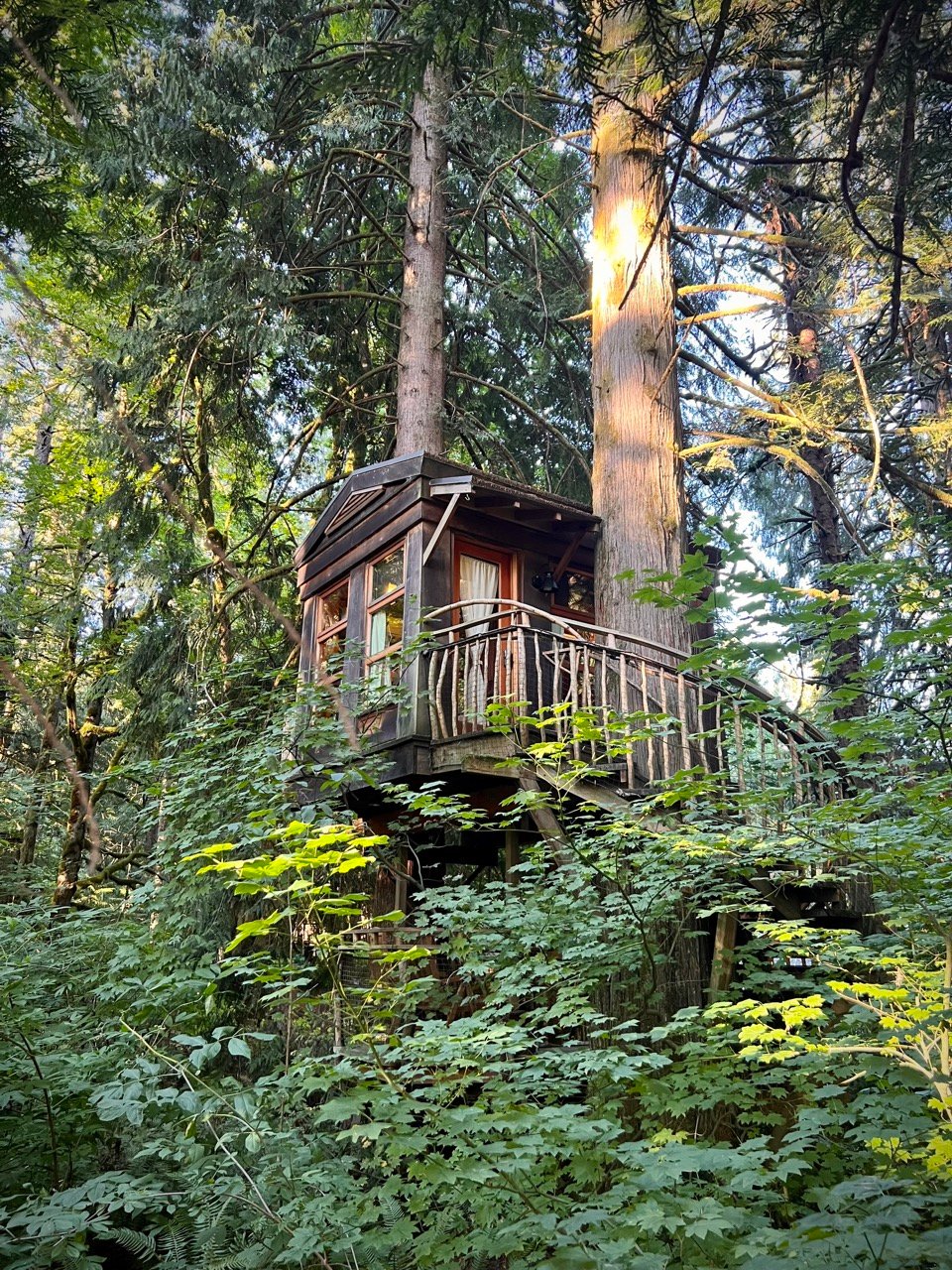 Discover Treehouse Point: A Must-Visit In Washington