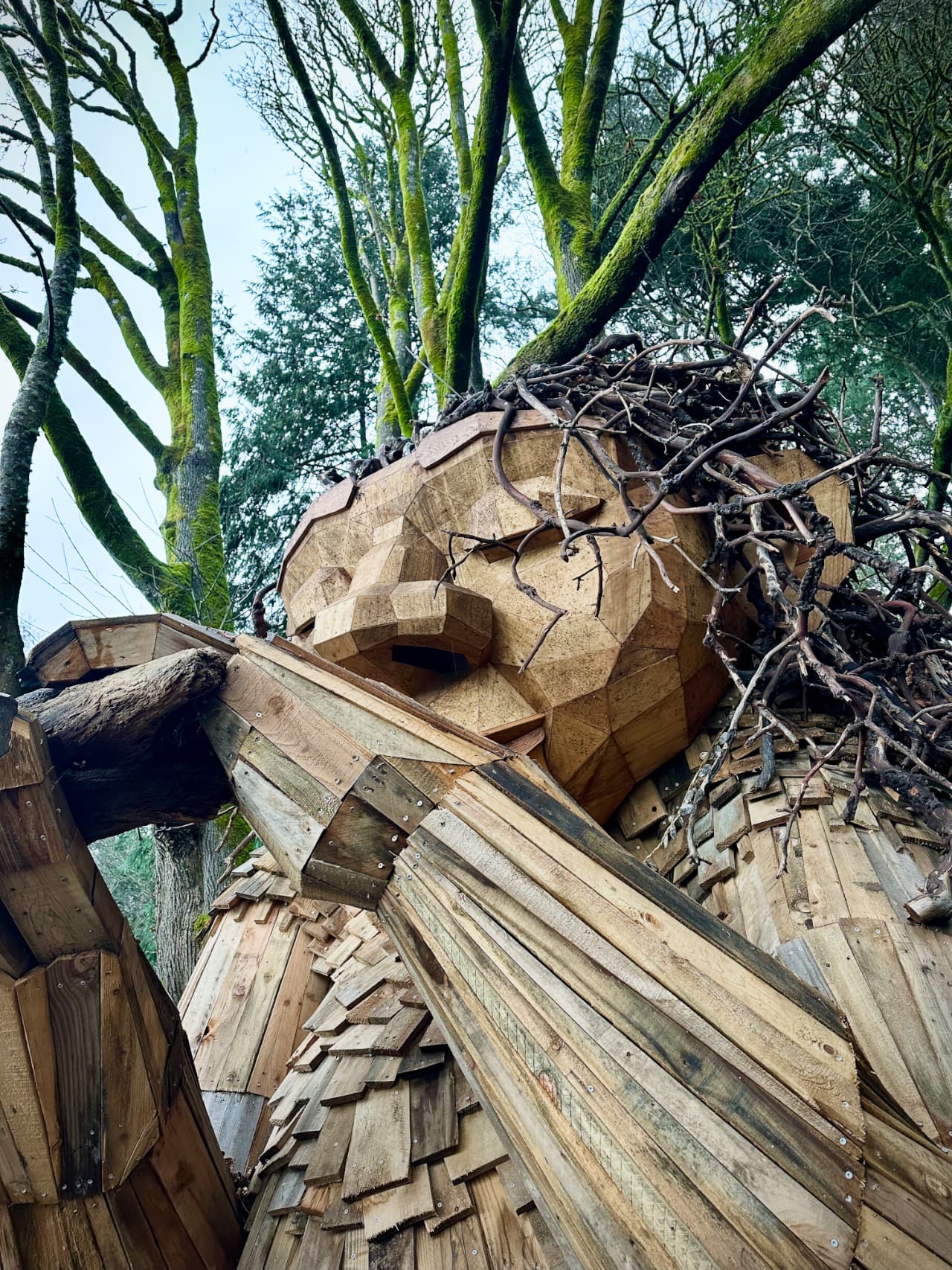 Discover Giant Trolls In Washington: An Epic Adventure