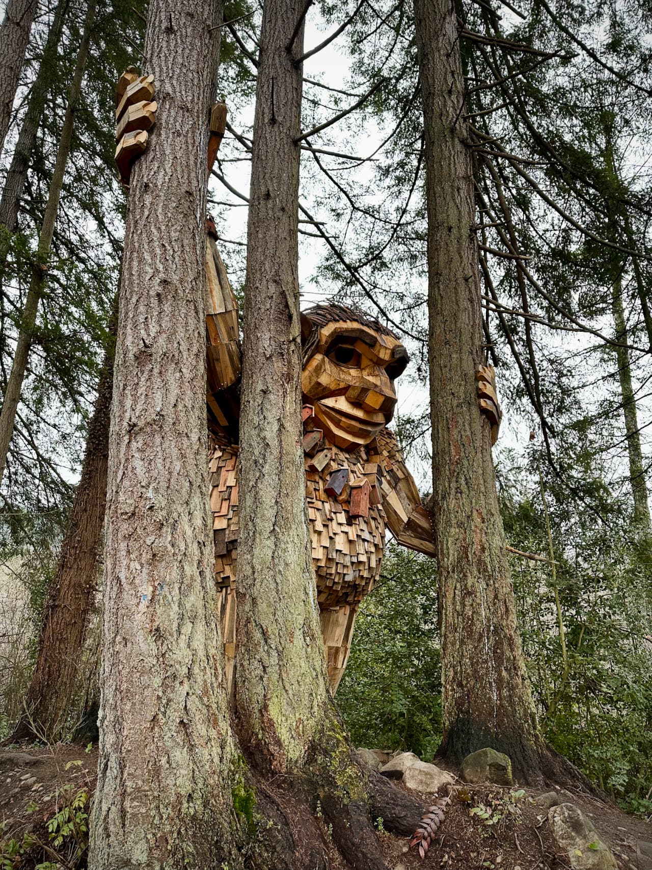 Discover Giant Trolls In Washington: An Epic Adventure