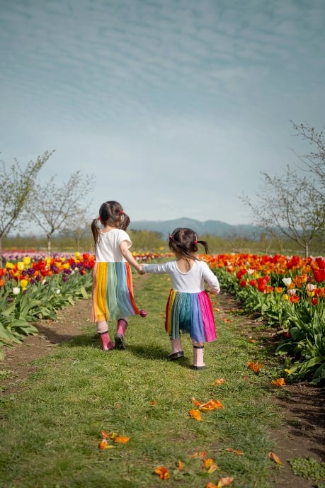 Exploring The Skagit Tulip Festival: Dog Friendly Guide - Explore Washington State