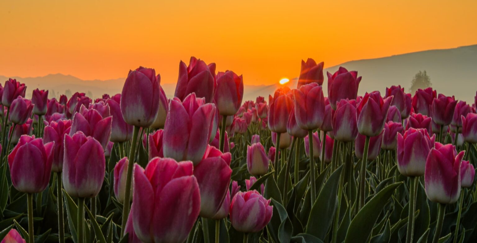 Visiting Tacoma’s Point Ruston Way - Explore Washington State