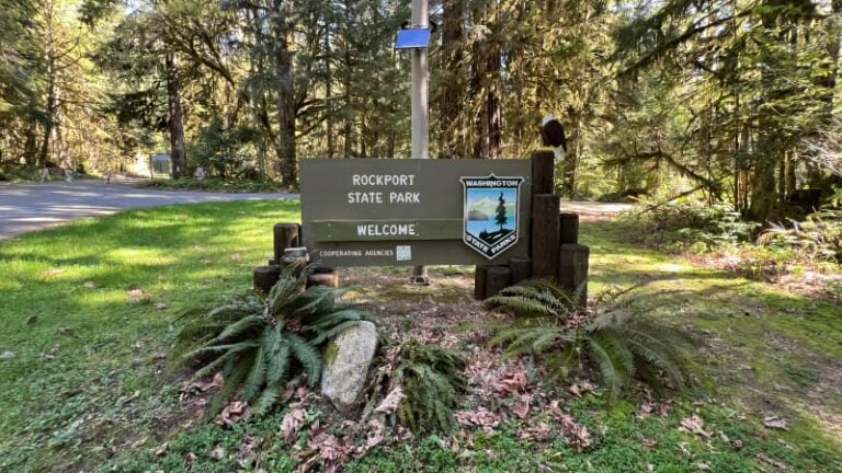 Rockport State Park - Explore Washington State