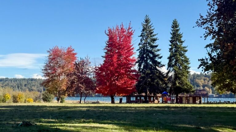 Belfair State Park - Explore Washington State