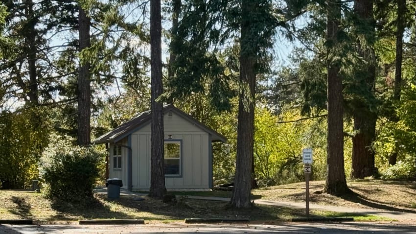 Belfair State Park - Explore Washington State